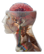 Stratasys PolyJet 3D Printing Technology for High Resolution 3D Printing