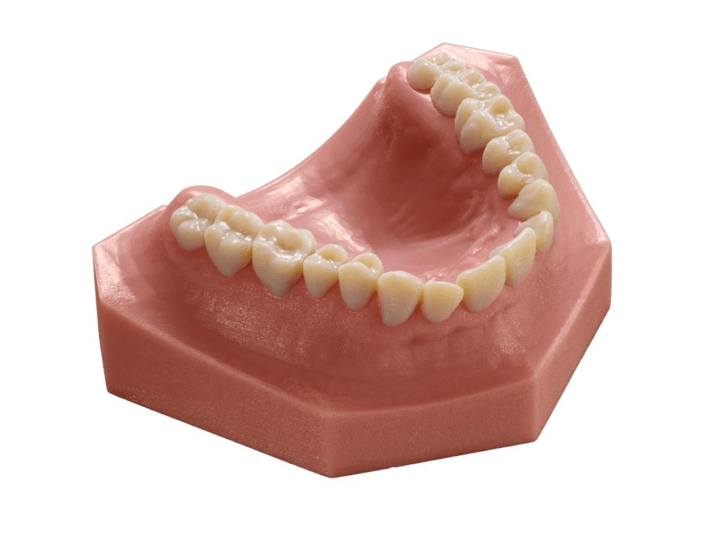 Dental 3D Printing Services | Orthodontic Models & More | Proto3000